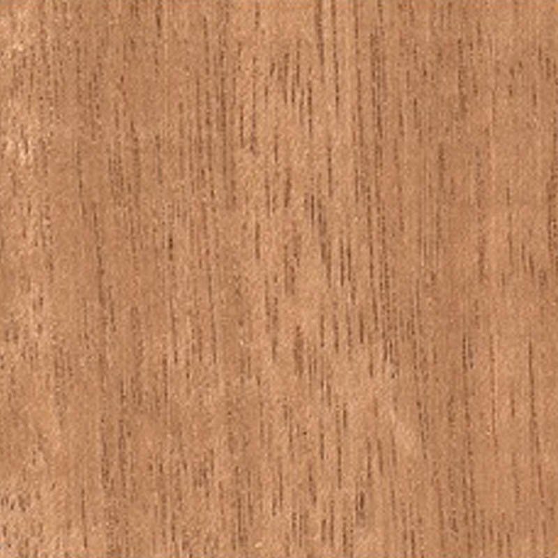 Timber choices for windows and doors at Sashed | Sashed